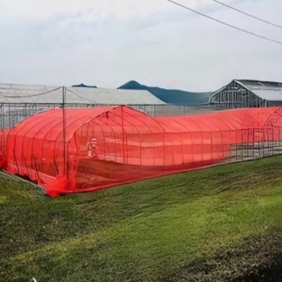 China Red Color Insect Screen Net For Fruite Protection Anti Thrips for sale