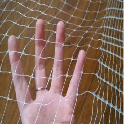 China 2.5cm Anti Bird Net For Fruits And Vegetables Protection for sale