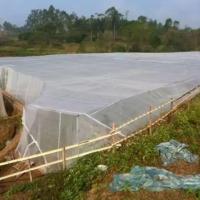Quality 30 Mesh 100g/M2 Anti Mosquito Garden Netting / Bug Netting For Garden for sale
