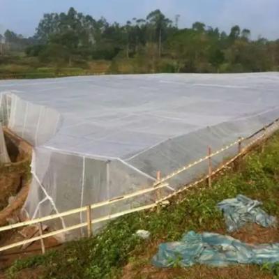 China 30 Mesh 100g/M2 Anti Mosquito Garden Netting / Bug Netting For Garden for sale