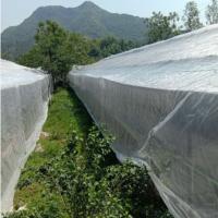Quality 40 Mesh Fine Garden Netting For Farms And Agricultural for sale