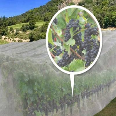 China Insect Net 40 Mesh For Greenhouse Protections Insect Barrier Mesh for sale