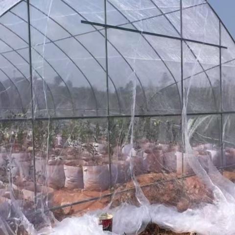 Quality Insect Net 40 Mesh For Greenhouse Protections Insect Barrier Mesh for sale