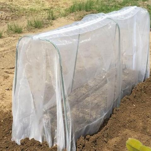 Quality 10x50m Plastic Insect Mesh Cover For Plant And Fruit Tree Net Cover for sale