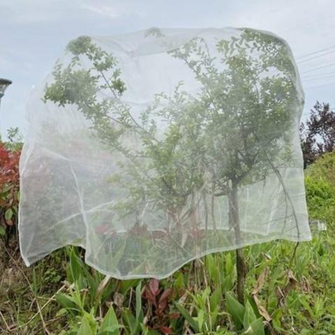 Quality Vegetables And Fruit Tree Netting Bags Cover For Recycle Ultra fine for sale