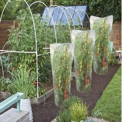 China Agricultural 3x10m Plastic Insect Mesh Cover Breathable And Eco Friendly for sale