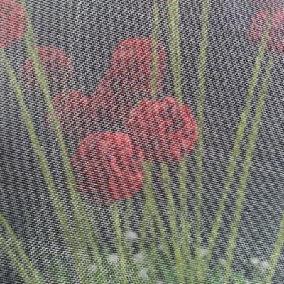 China Outdoor Plastic Anti Mosquito Window Screen For Extending Lifespan And Environmental Compatibility for sale