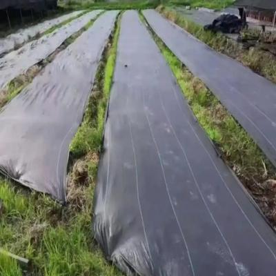 China High Tensile Strength Weed Barrier Fabric Dual Functions For Weed Control for sale