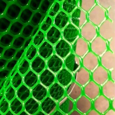 China Green And White PE Plastic Flat Netting Mesh for Farm Chicken Fencing for sale
