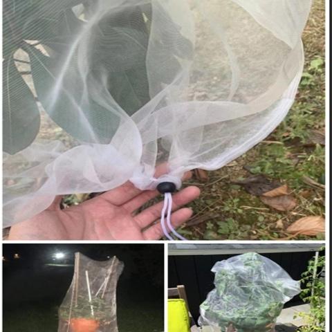 Quality Customized Garden Plant Netting Bag For Fruits And Vegetables Ventilated & Hygienic for sale