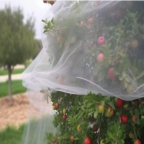 Quality PE L Sewing Breathable Drawstring Plastic Garden Net Bags For Fruits Vegetables for sale