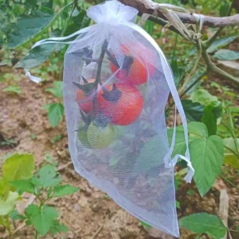 Quality Transparent And Flexible Plastic Insect Netting Bags In Home Supermarket for sale