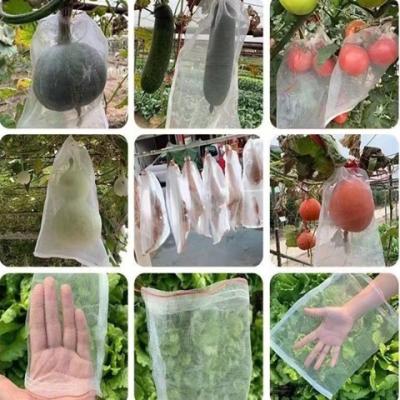 China Strong Enough Plastic Insect Netting Bags Easy To Clean & Dry For Fruit And Vegetables for sale