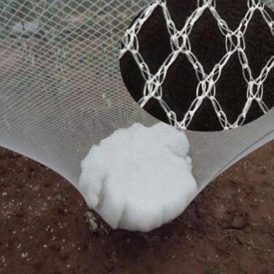 China Protective Sleeve Anti Hail Net For Apple Tree Anti Hail Guard Net for sale