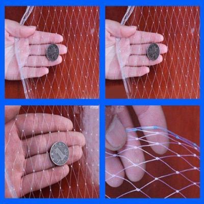 China UV Resistant Anti Bird Net Square Mesh with Various Mesh Sizes for sale