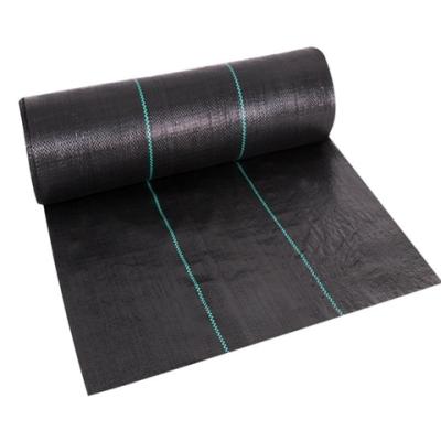 China Black Ground Cover Fabric For Garden Bed Cover And Orchard for sale