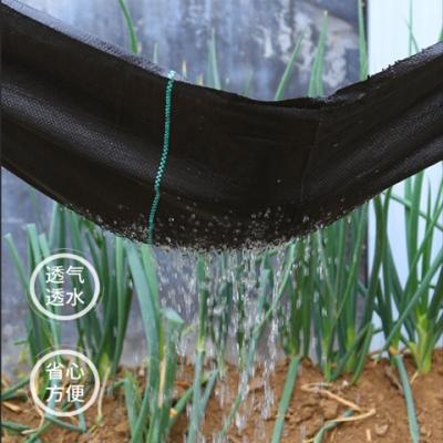 China Permeable Weed Barrier Fabric Ideal for Orchards and Vineyards for sale