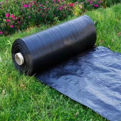 China Greenhouse Garden Weed Barrier Fabric Ground Cover UV Processed for sale