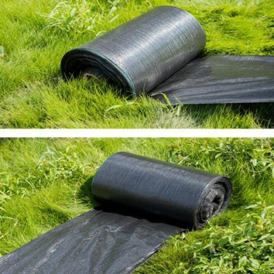 China Pp Woven Ground Cover Membrane Anti Grass Weed Control Cloth for sale