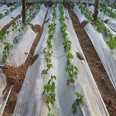 China Plastic Agricultural Mulch Film Recyclable Allowing The Light Through for sale