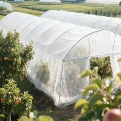 China Anti Garden Netting Fine Mesh Crops Protection Netting for sale