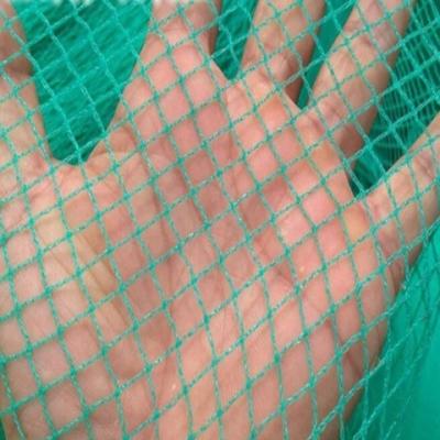 China Ageing Resistance Anti Bird Netting For Vegetable Plants And Fruit Trees for sale
