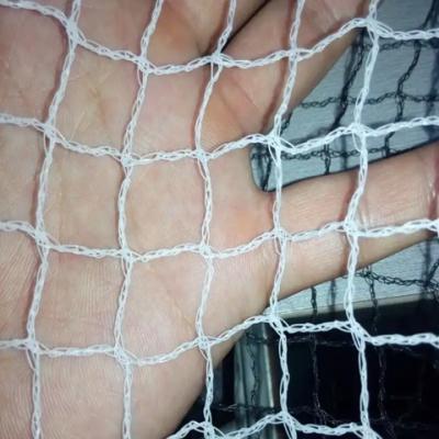 China Nylon Without Knotted Anti Bird Net For Mushroom Grape Fruit Tree for sale