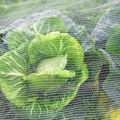 China PE 50 Mesh Plastic Net Anti Mosquito For  Greenhouse Protections for sale