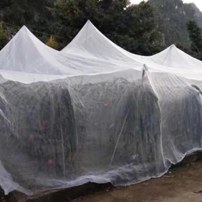 China 40 Mesh Plastic Insect Screen  For Vegetables And Fruits for sale