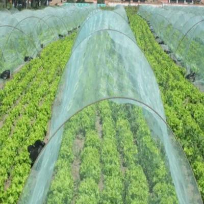 China 60 Mesh 100g/M2 Garden Netting  Anti Mosquito Bug Netting For Garden for sale