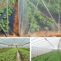 China Durable Mesh Garden Net Variable Width Length for Backyard Gardening for sale