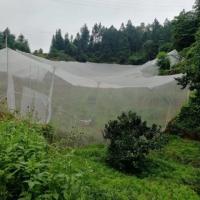 China Farm Protection Insect Net Custom Width Length High Density Mesh Net for sale