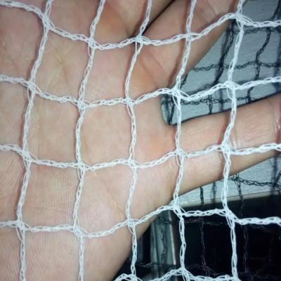 China Flexible Durable Bird Net  Keep Birds Away For Orchard And Berry Plants for sale