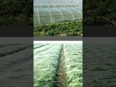 uv resistant fine insect netting 50 mesh insect net hdpe material