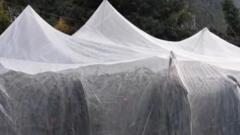 Insect Screen, Plastic Net , Nylon wire mesh, Window Screen,Garden netting