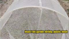 plastic mesh ,garden netting , Insect screen production and loading