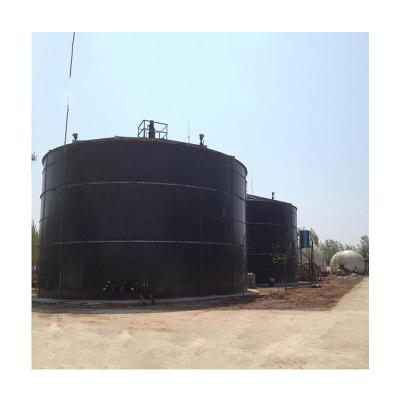 China Anaërobe vergisting Biogasproducten Project voor biogasinstallaties Te koop