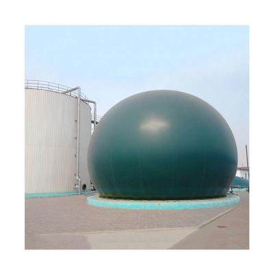 China Anaërobe vergisting Biogasproducten Project voor biogasinstallaties Te koop