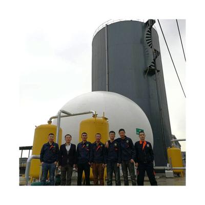 China Anaërobe vergisting Biogasproducten Project voor biogasinstallaties Te koop