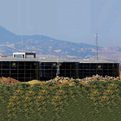 Cina Supporto di gas del biogas di digestione anaerobica in impianto di biogas in vendita