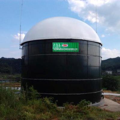 China Anaërobe Anaërobe de Modder Algemene Reactor van Spijsverteringsproducten Te koop