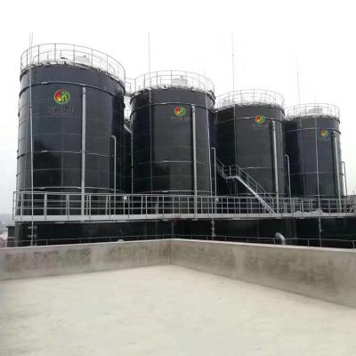 Cina Produzione di elettricità dell'impianto di biogas del sistema del digestore del biogas in vendita