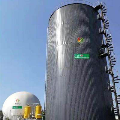 Cina Costo di installazione della produzione del biogas dell'attrezzatura di impianto di biogas da spreco in vendita