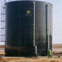 China Renewable Biogas Plant Project with Online Technical Services for sale