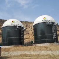 China Renewable Biogas Plant Project with Online Technical Services for sale