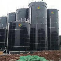 China Anaerobic Digester Biogas Digester Biogas Upgrading System for sale
