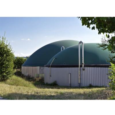 Cina Installazione in loco Serbatoio di fermentazione del biogas Spessore 0,5 mm-2 mm in vendita