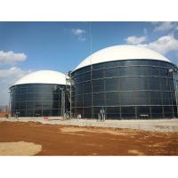 China Continuous Anaerobic Digestion Equipment For Organic Solid Waste for sale