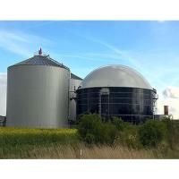 China Internal Circulation Stir Anaerobic Reactor For Efficient Operation Customized Volume for sale