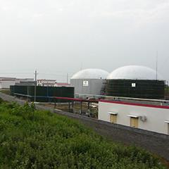 Cina Letto anaerobico del fango di alto di Rate Anaerobic Reactor Kitchen Waste getto del digestore in vendita